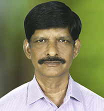 Malabar Cements